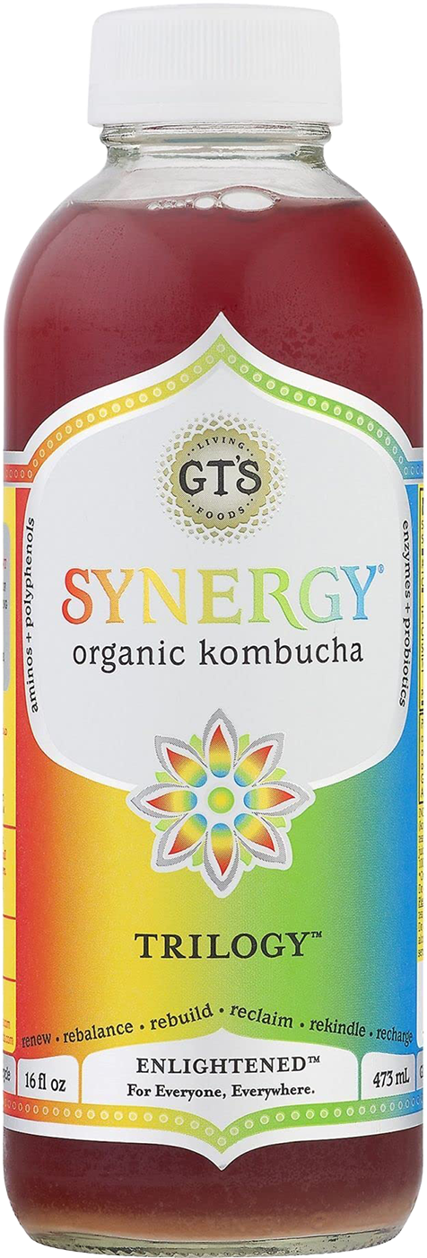GT'S Synergy Trilogy Kombucha Drink - Drinx Market